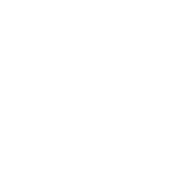 Pow Cat Generator